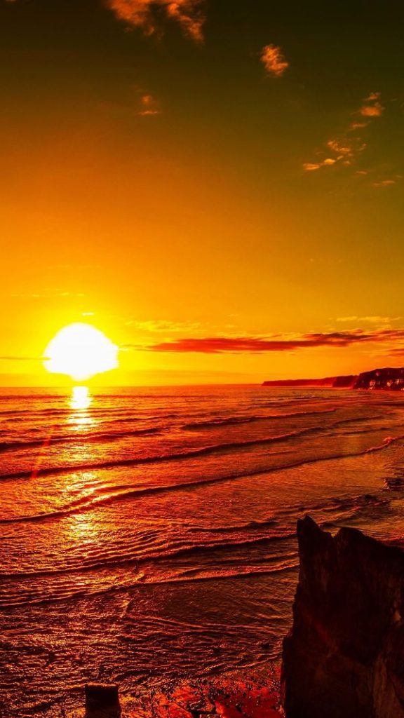 Inspiradores paisajes naturales de noche de 4 ecosistemas