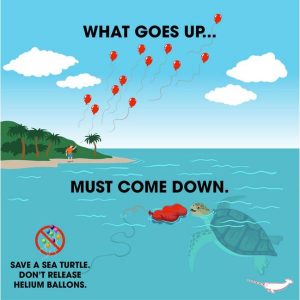 Ideas en dibujos de como cuidar el mar para 2 graficos