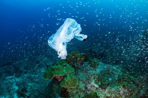 Ilustraciones e imagenes de cuidar el mar 4 consejos