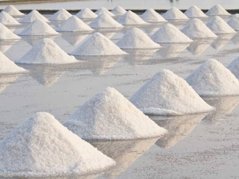 2 etapas en la salinidad del agua del mar importancia