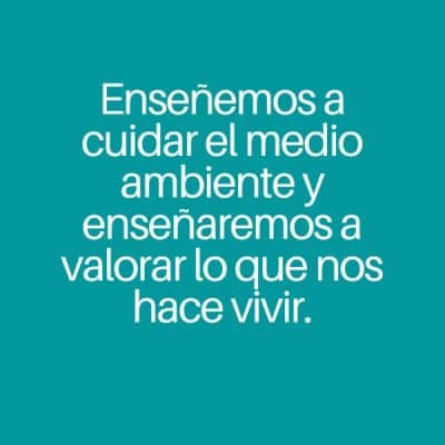 4 profundas frases alusivas el medio ambiente conservación