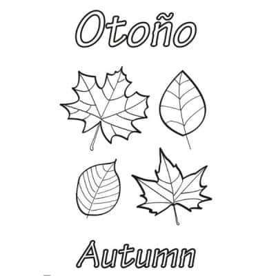 4 estilos en hojas de otoño dibujo para colorear