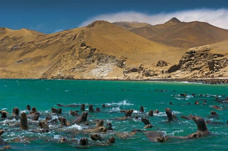 4 imágenes de paisajes del Perú más representativos